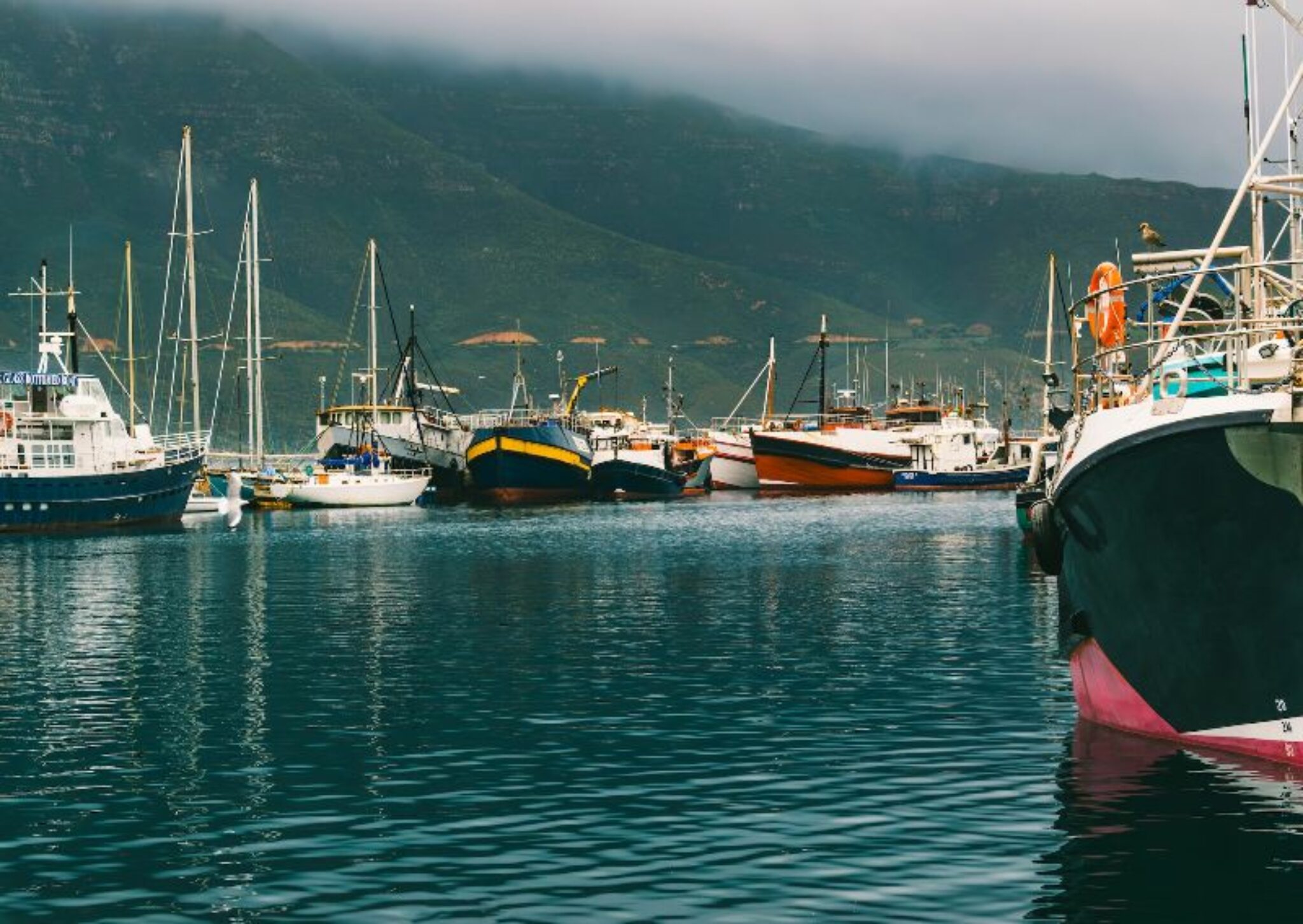 Best Boat Cruise Waterfront Prices | Top Cape Town Rides | Tickets 'n Tour