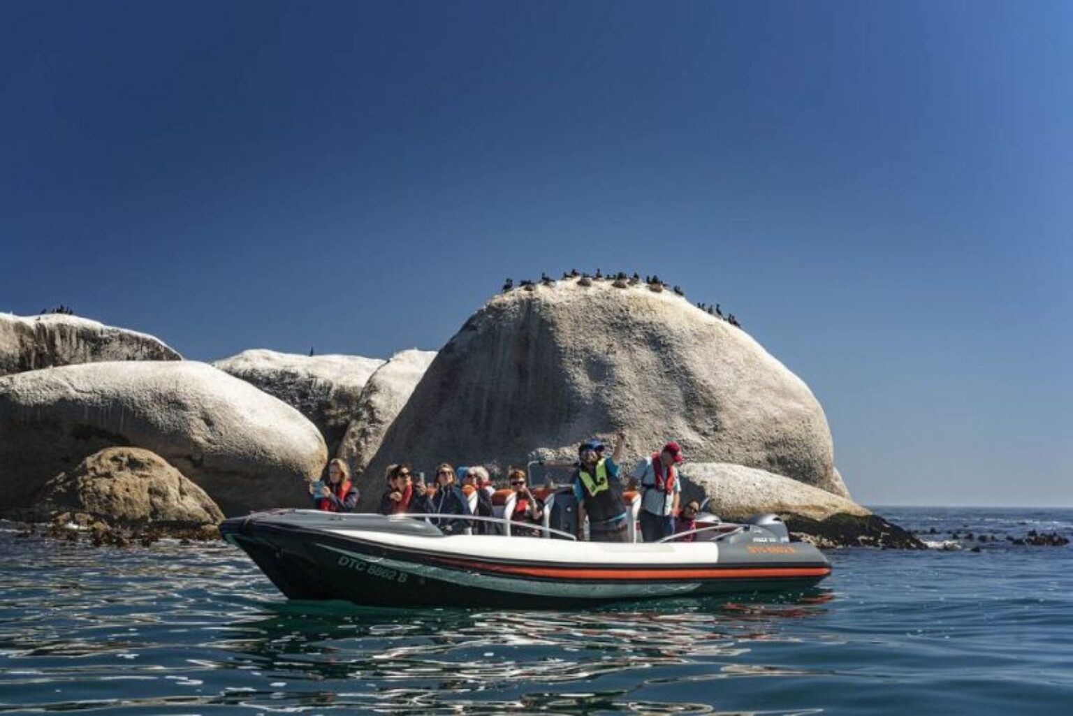 Best Boat Cruise Waterfront Prices | Top Cape Town Rides | Tickets 'n Tour