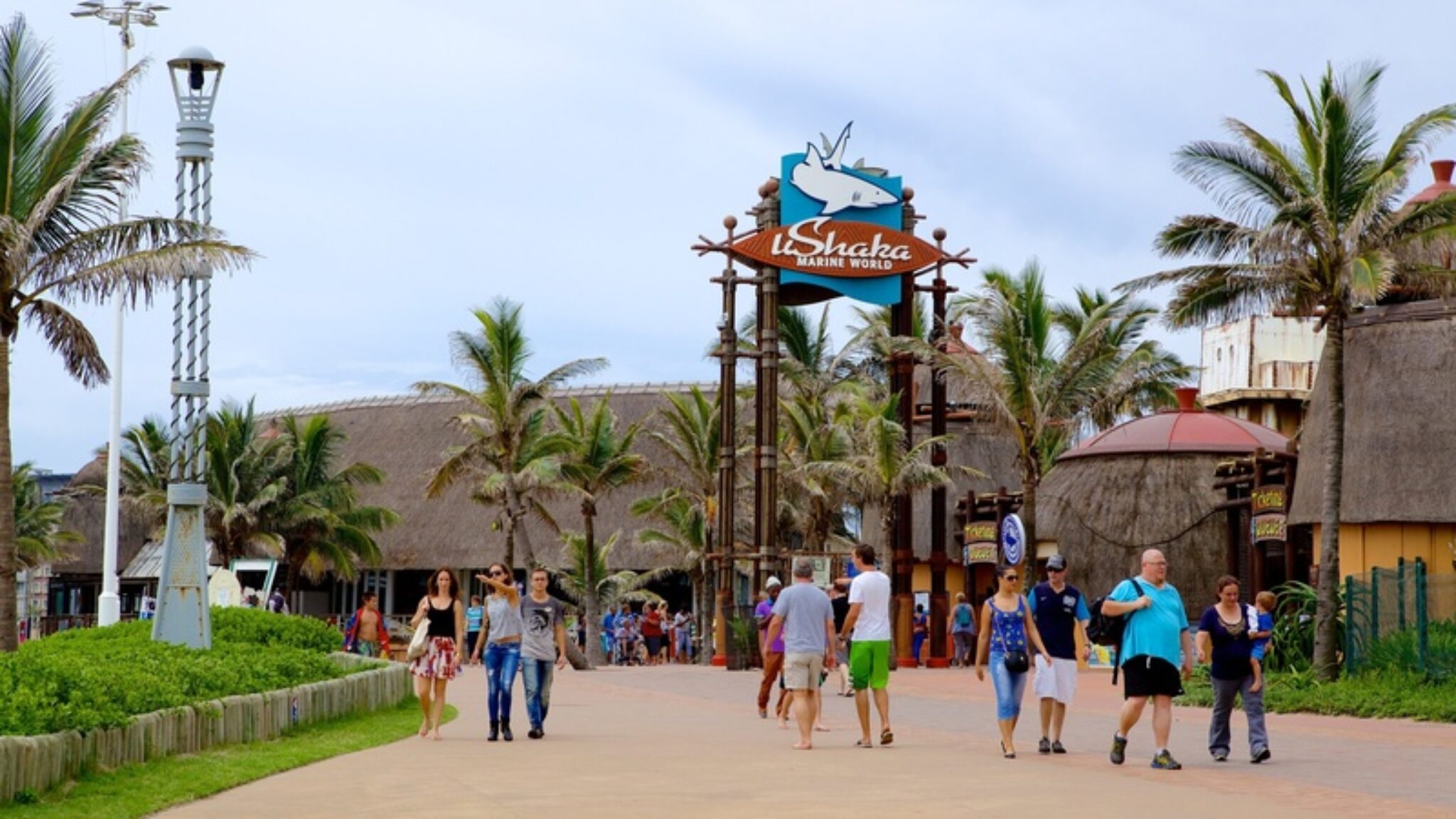 Top Ushaka Marine World Tickets and Prices 2026 | Tickets 'n Tour