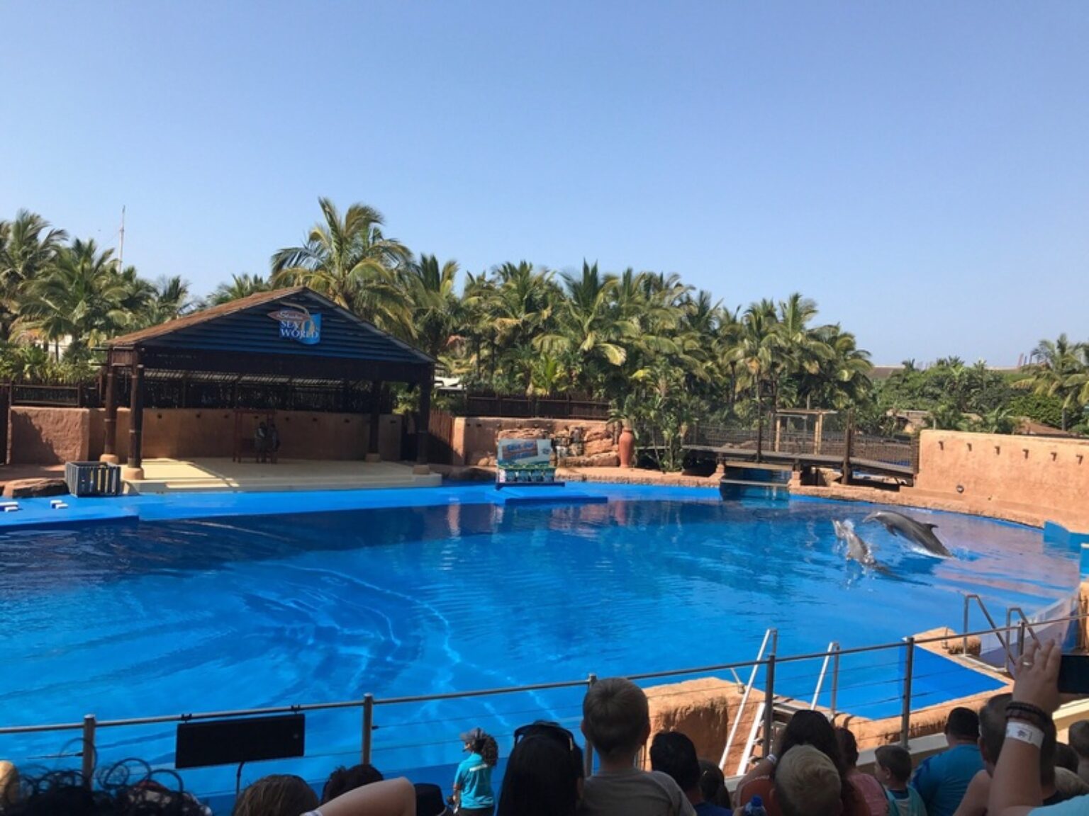 Top Ushaka Marine World Tickets and Prices 2026 | Tickets 'n Tour
