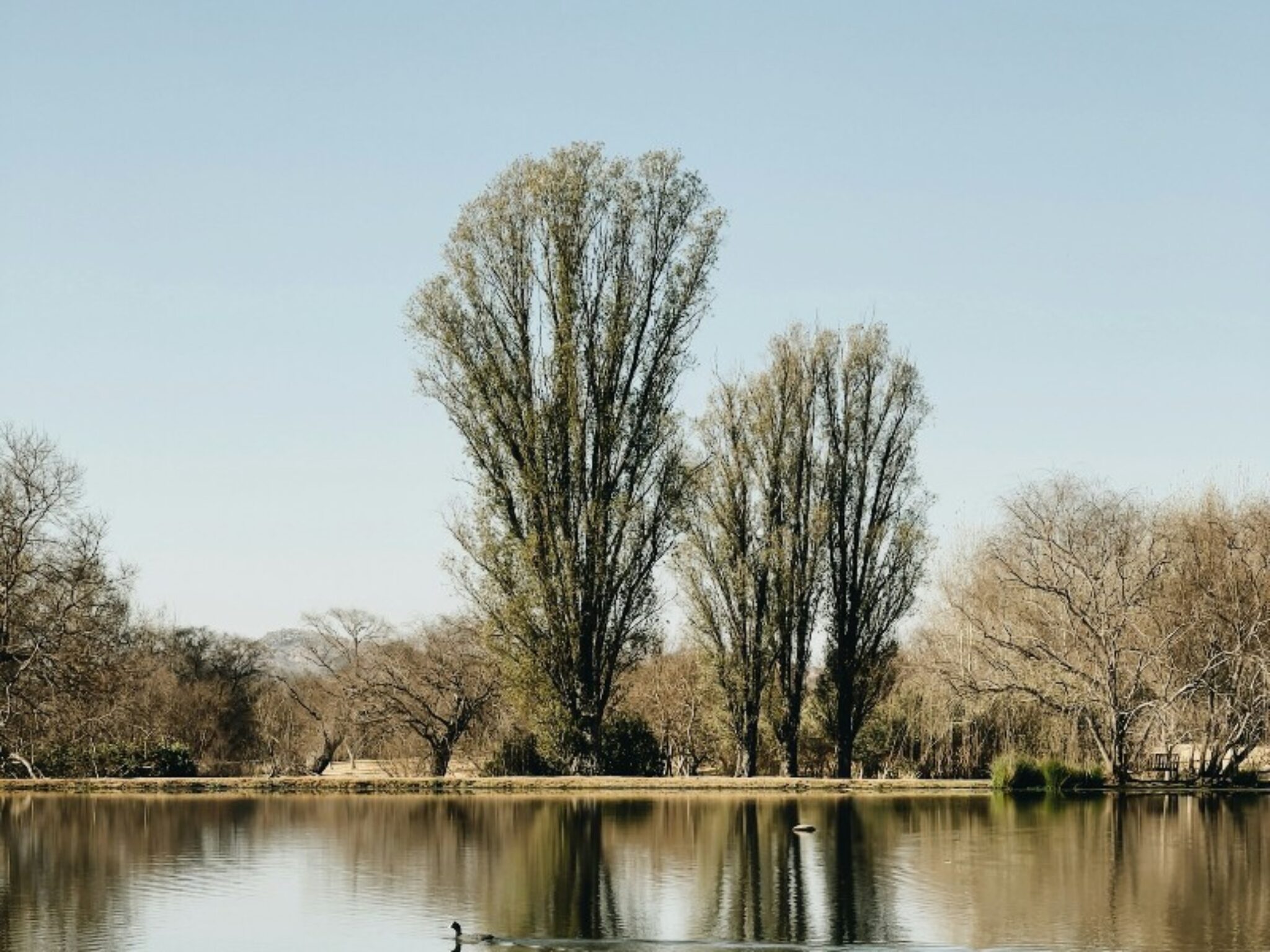 12 Fun Things To Do In Jozi With Kids | Tickets 'n Tour