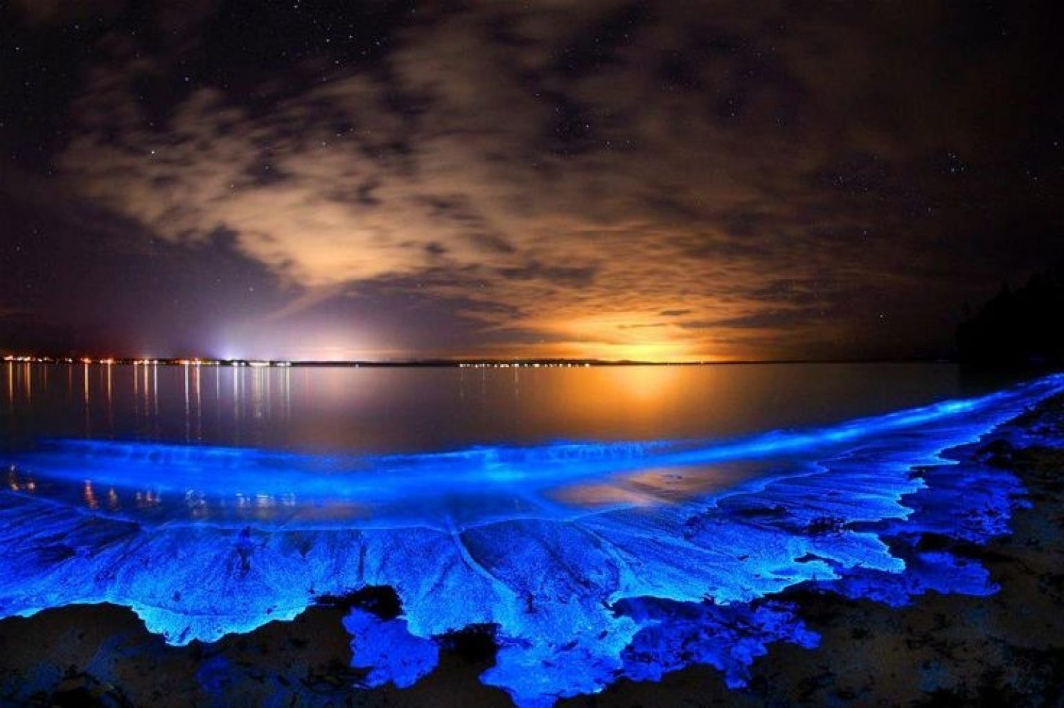 Top 3 Things To Know About The Bioluminescent (Glowing) Beach In The ...