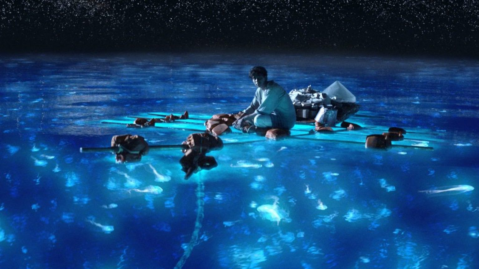Top 3 Things To Know About The Bioluminescent (Glowing) Beach In The ...