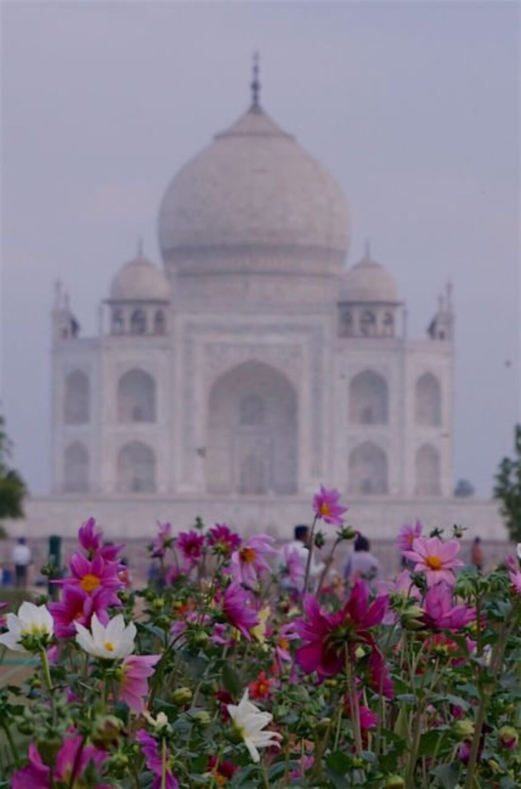 Tips For Visiting The Taj Mahal at Sunrise – Do’s and Don’ts! | Tickets ...